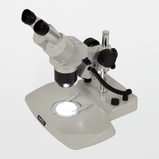 TX751B Small Compressed Foam Swab