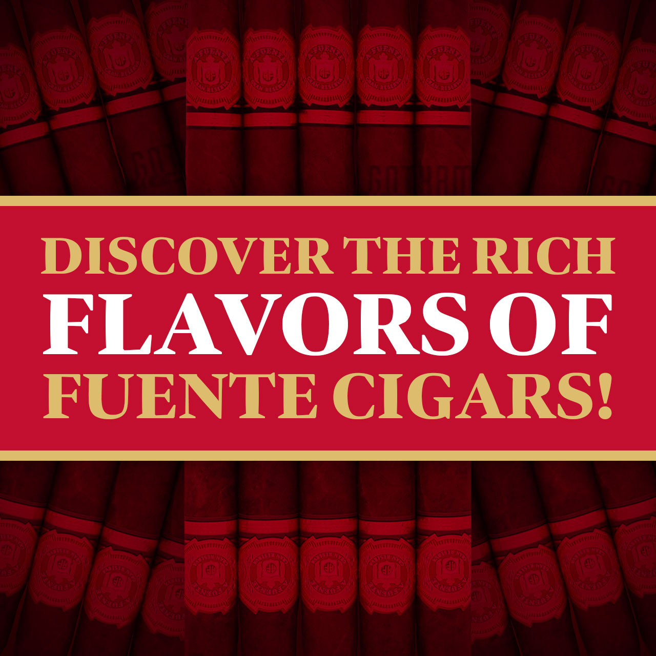 The Best Premium Baby Birth Cigar Blends! - Gotham Cigars