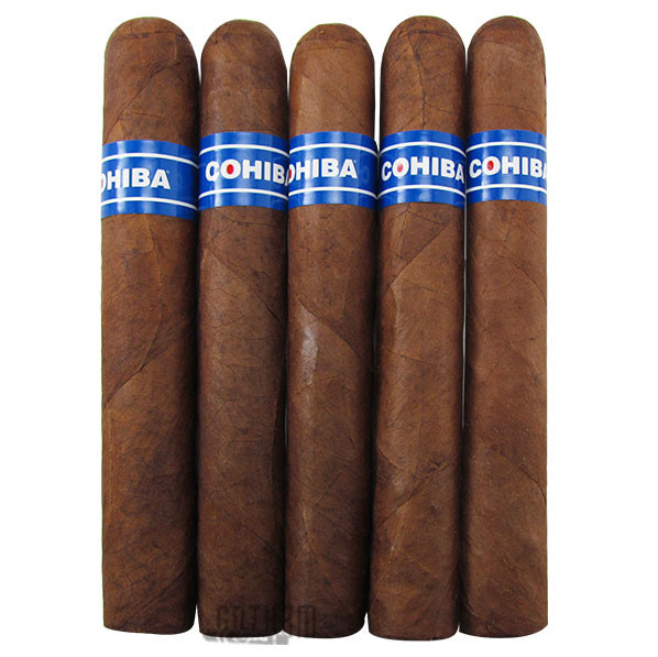 Cohiba Blue Robusto | Gotham Cigars