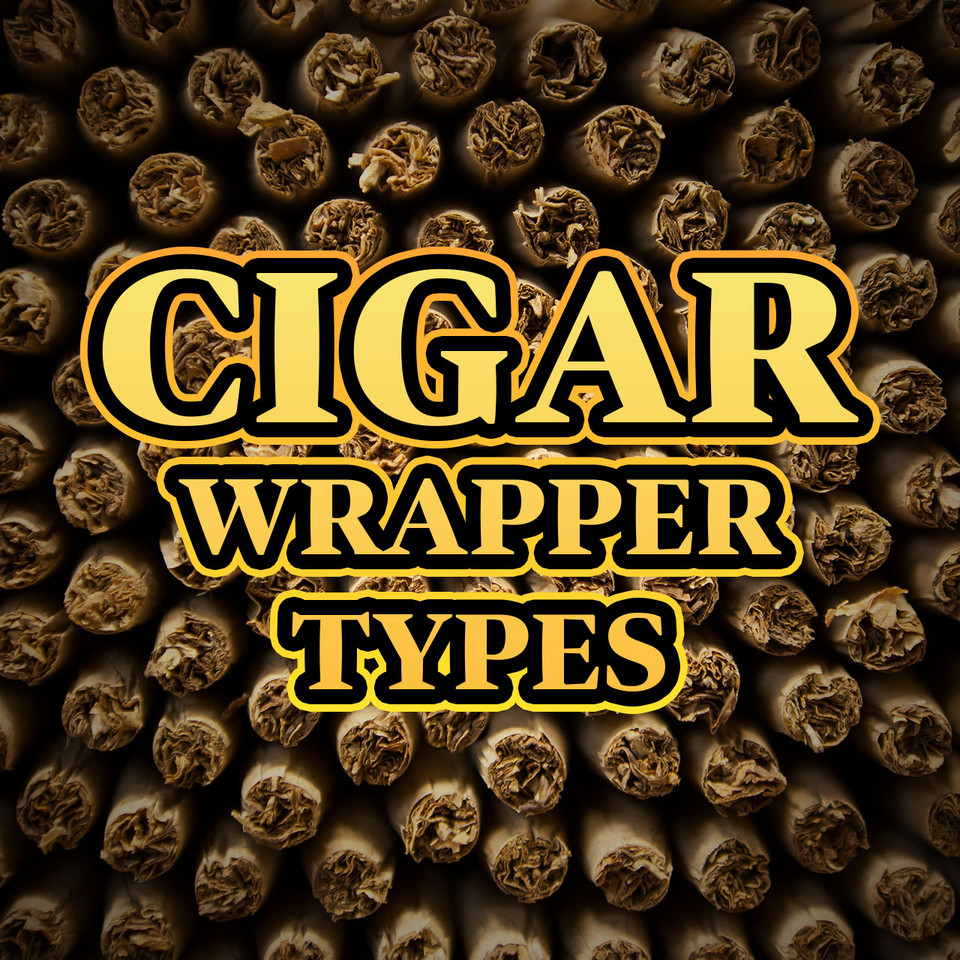 The Best Premium Baby Birth Cigar Blends! - Gotham Cigars