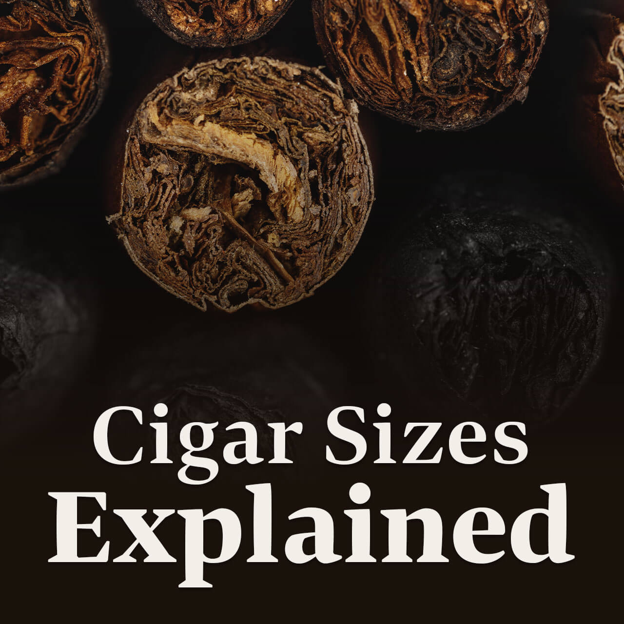 Ashton Cigar Sizes Explained: Robusto, Churchill, Corona & More ...