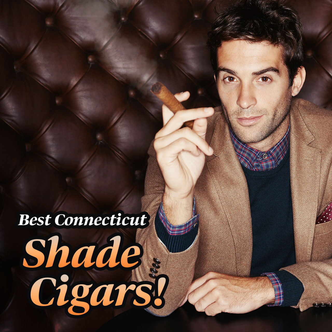 Best Connecticut Shade Cigars for Mellow Mornings - Gotham Cigars