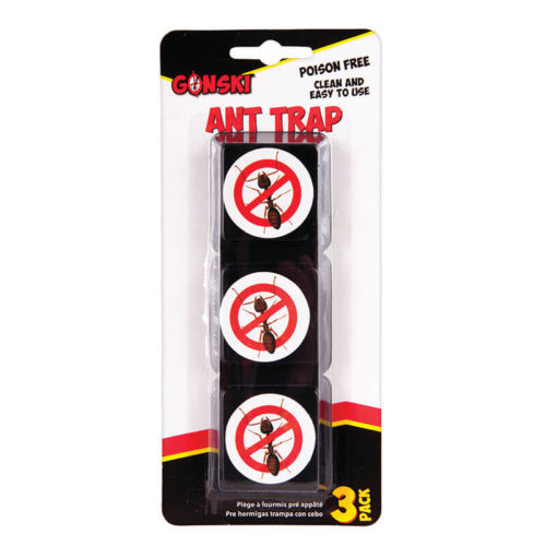 Ant Glue Traps 5 Pack - SPOIL.co.nz