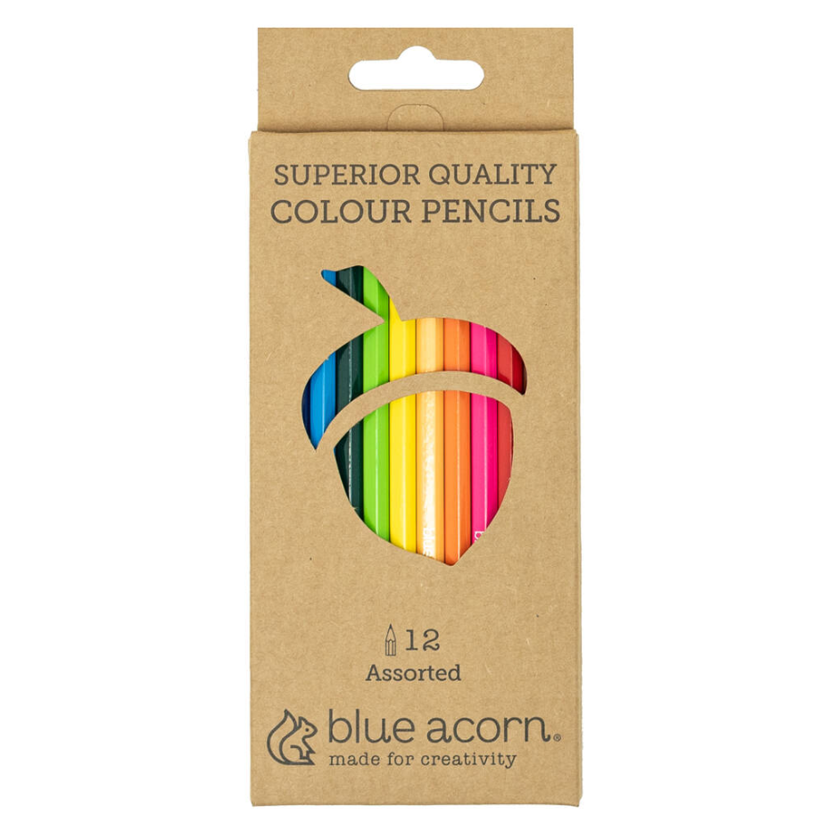 Blue Acorn - Coloured Pencil Set of 12 - Atlantis Art Materials