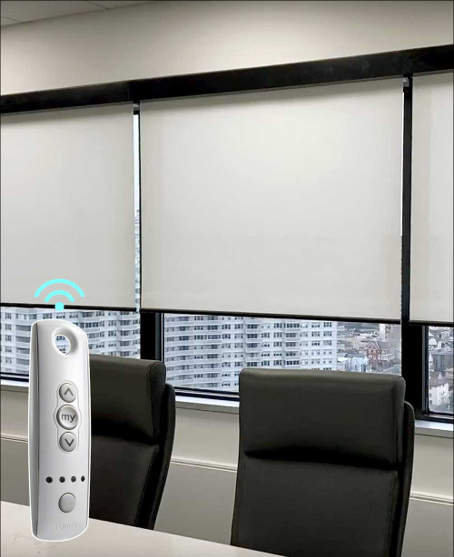 Day & Night Dual SOMFY Smart Home Motorized Shades - Easternshades