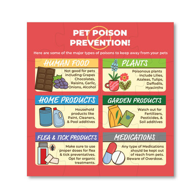 Pet Poison Prevention - Magnet Puzzle