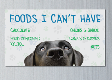 Pet Poison Prevention V2 2x3.5 Card Magnet
