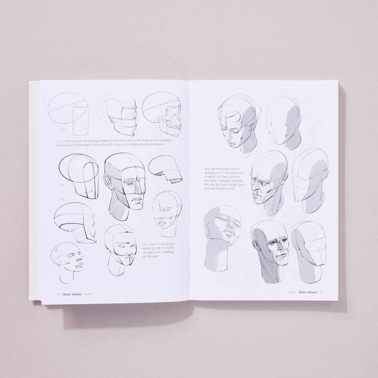 Morpho: Face, Head, and Neck Anatomy for Artists - Philadelphia Art ...