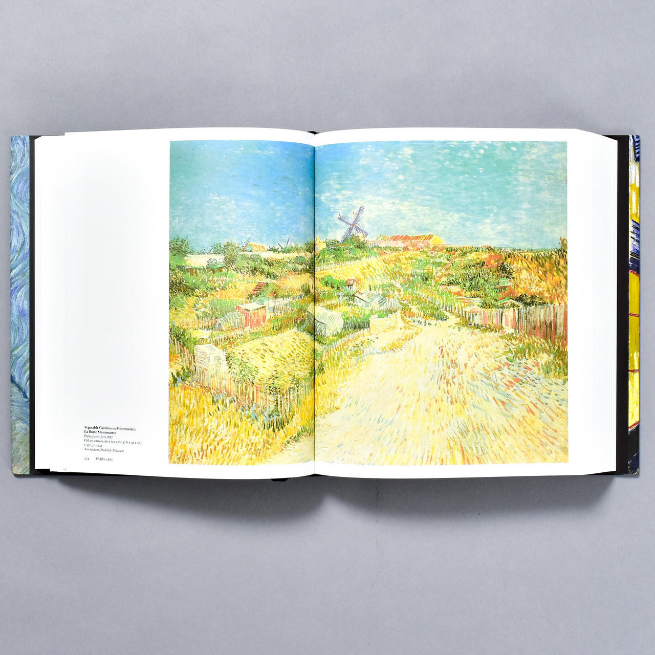Vincent van Gogh: The Complete Paintings - Philadelphia Museum of Art Store