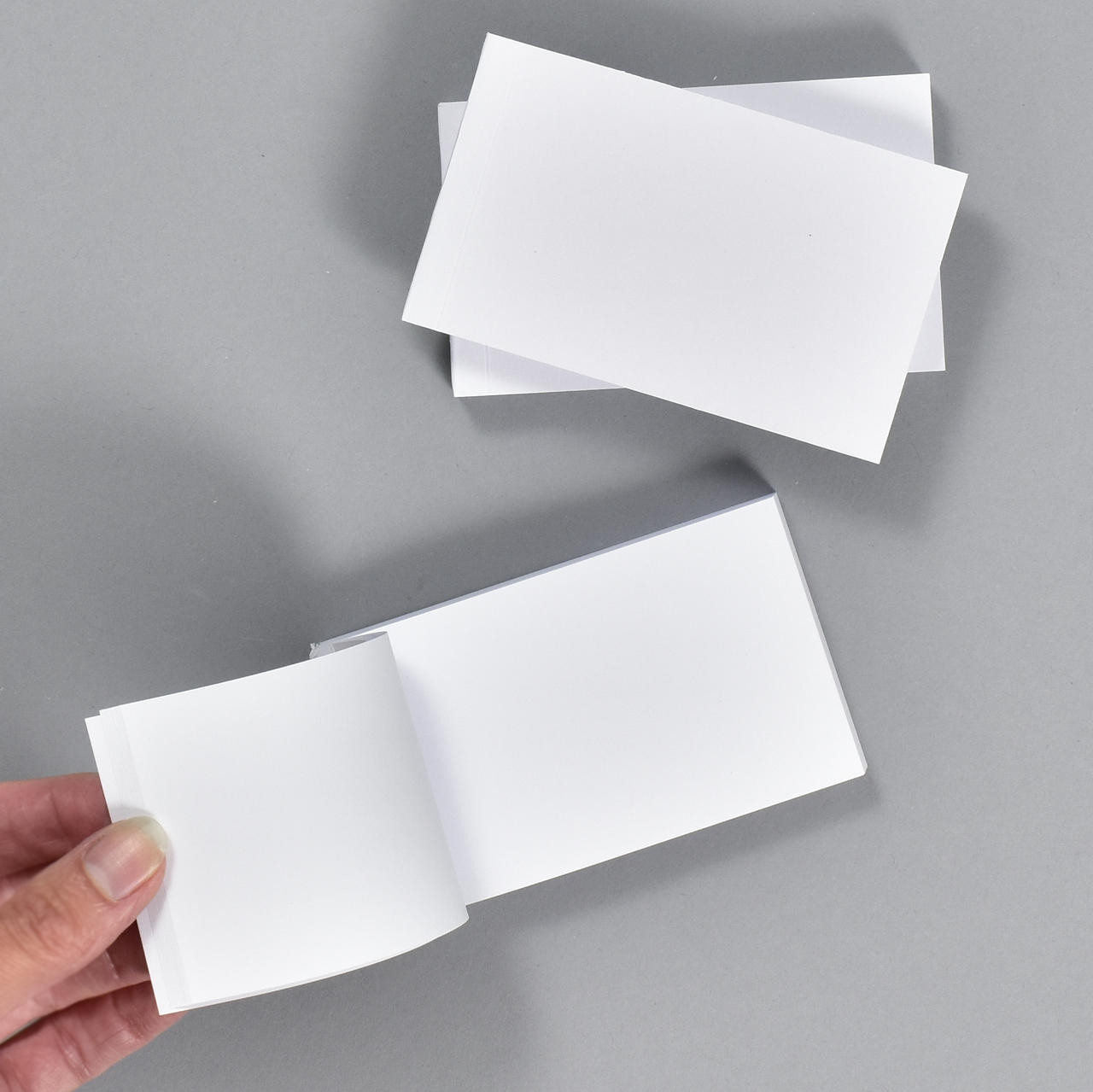 Blank Flipbooks: For Animation, Cartooning, and Sketching ...