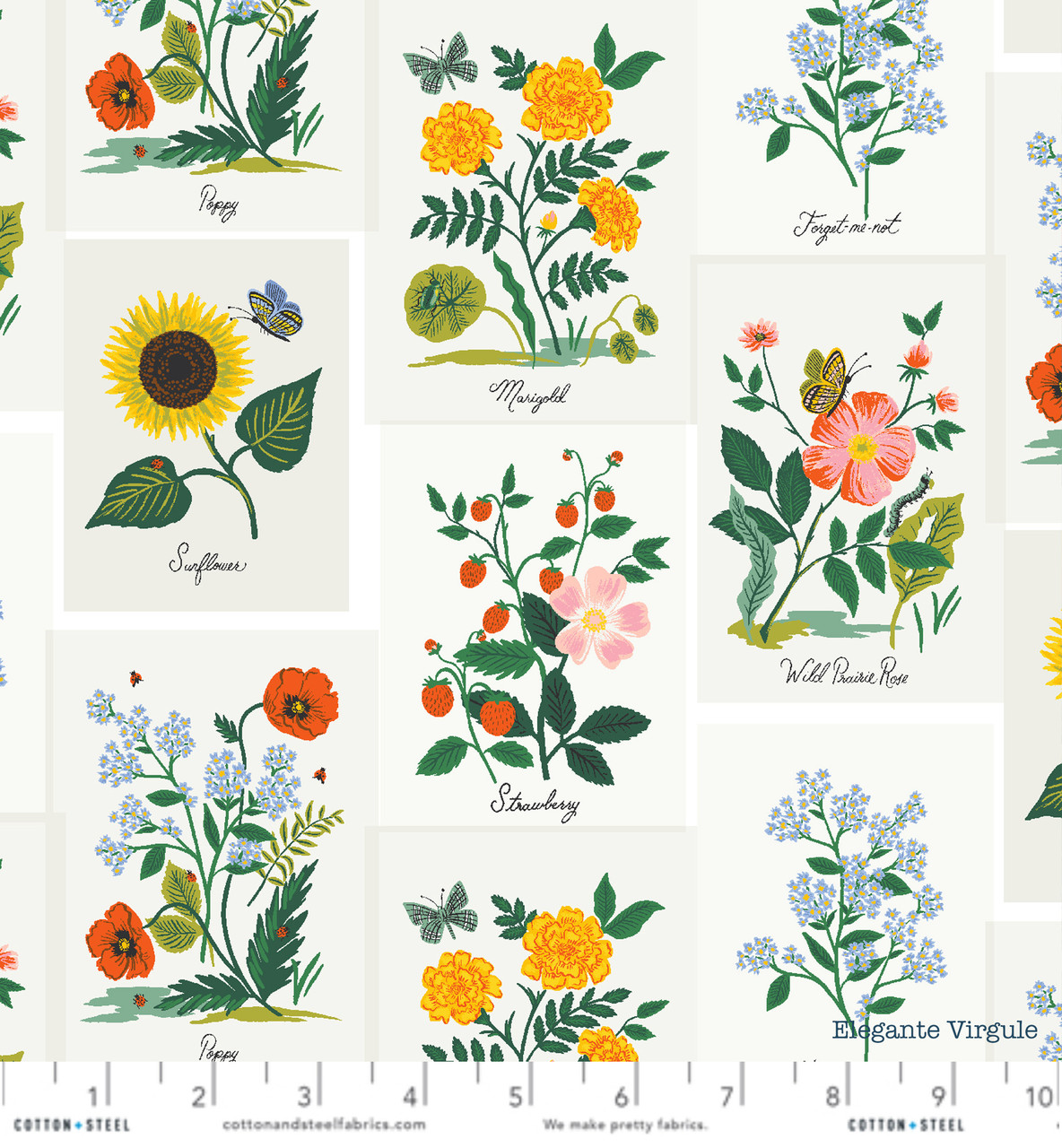 RIFLE PAPER CO, CURIO, Botanical Prints in Pink Multi - ELEGANTE ...