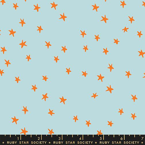 RUBY STAR SOCIETY, STARRY 2025 by Alexia Marcelle Abegg, in Polar ...