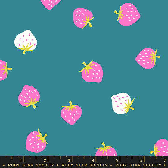 RUBY STAR SOCIETY, PICTURE BOOK by Kimberly Kight, Strawberries Bundle ...