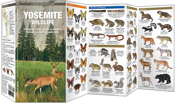Yosemite Wildlife Folding Pocket Guide - Yosemite Online Store