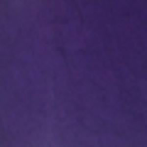 Concord Grape #62 - Grateful Dyes, Inc.