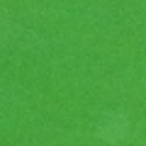 Bright Green #46 - Grateful Dyes, Inc.
