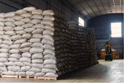 Yerba mate production and elaboration: all you need to know - Pampa Direct