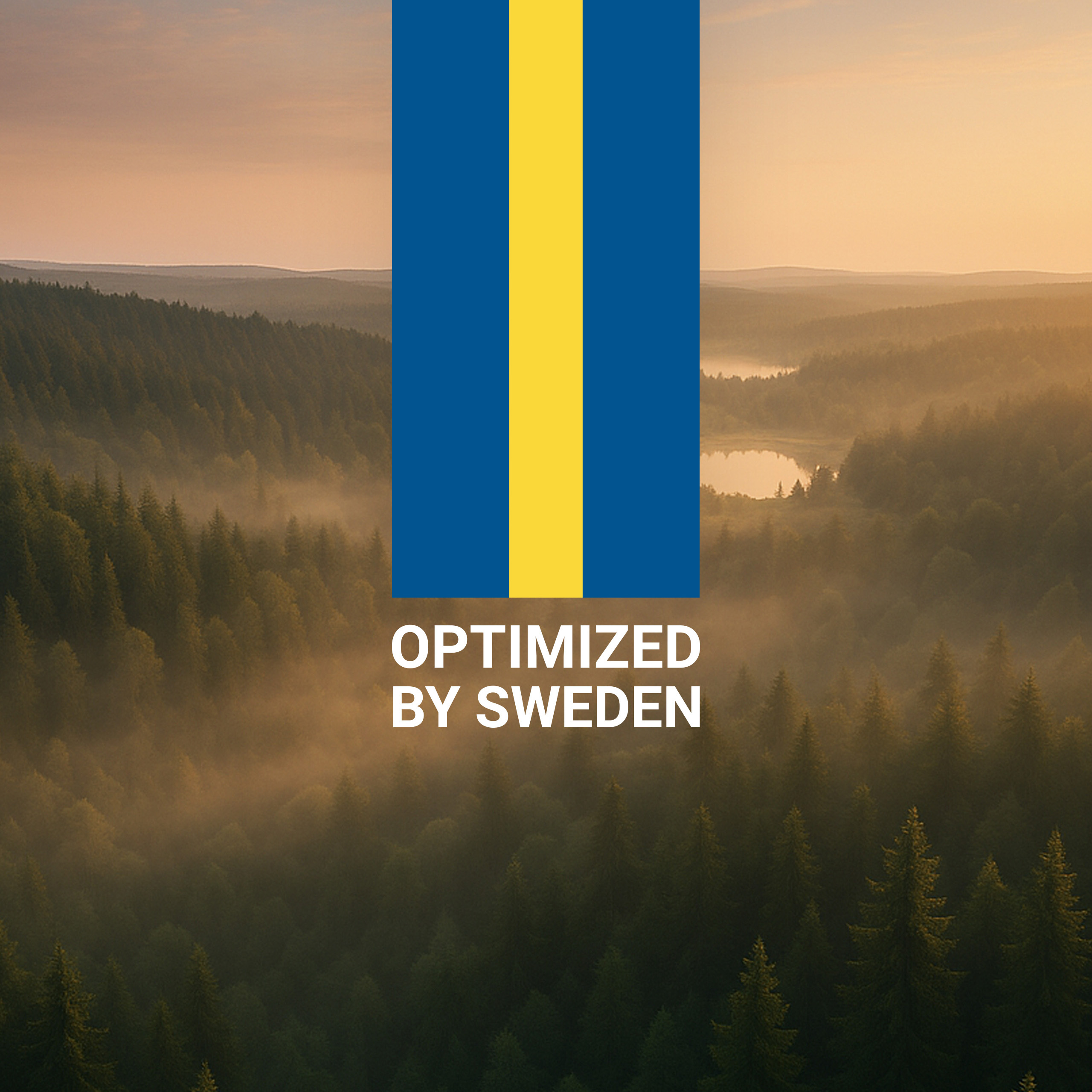 Happy Swedish National Day! - Maptun