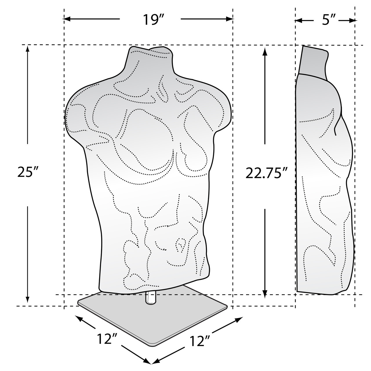 One Male and One Female White Plastic Bust, Torso Mannequin, on 12 ...