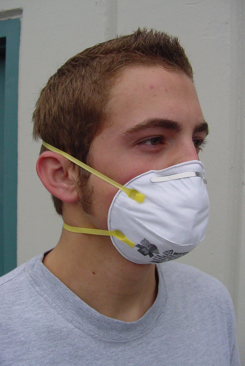 3M Disposable Dust Mask (20/Case) - TroxellUSA