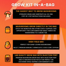 All in One Mushroom Grow Kit in-a-Bag with Sterilized Grain and ...