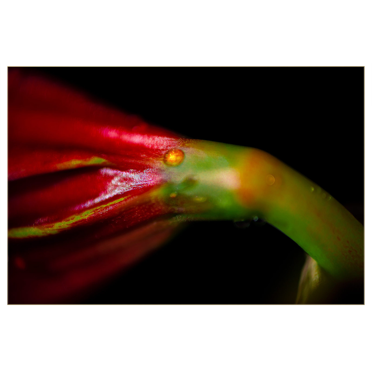Fake Tears II | Mari Prete Fineart®