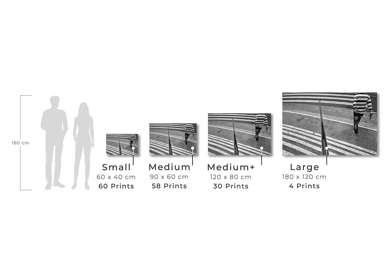 The Lines