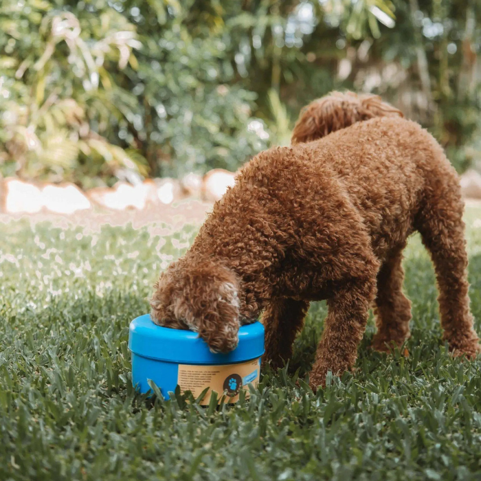 K9 Cruiser Bowl - Spill Proof Pet Water Bowl