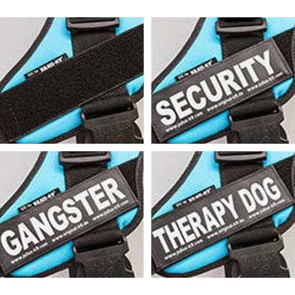 Julius K9 Reflective Labels - Bark Control Australia