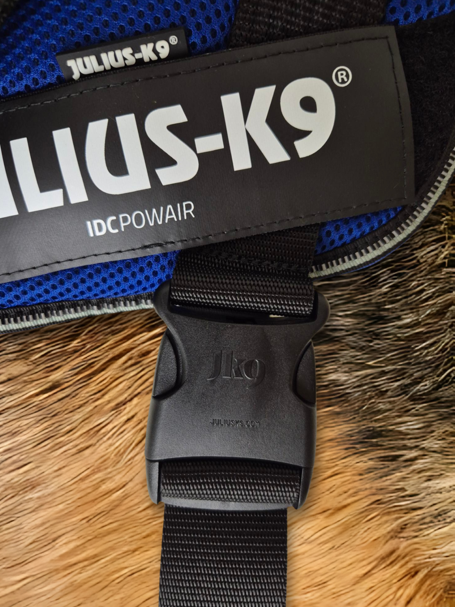 Julius K9 Powerharness w/ Customisable Reflective Labels!