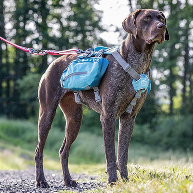 Kurgo Baxter Dog Backpack - Bark Control Australia