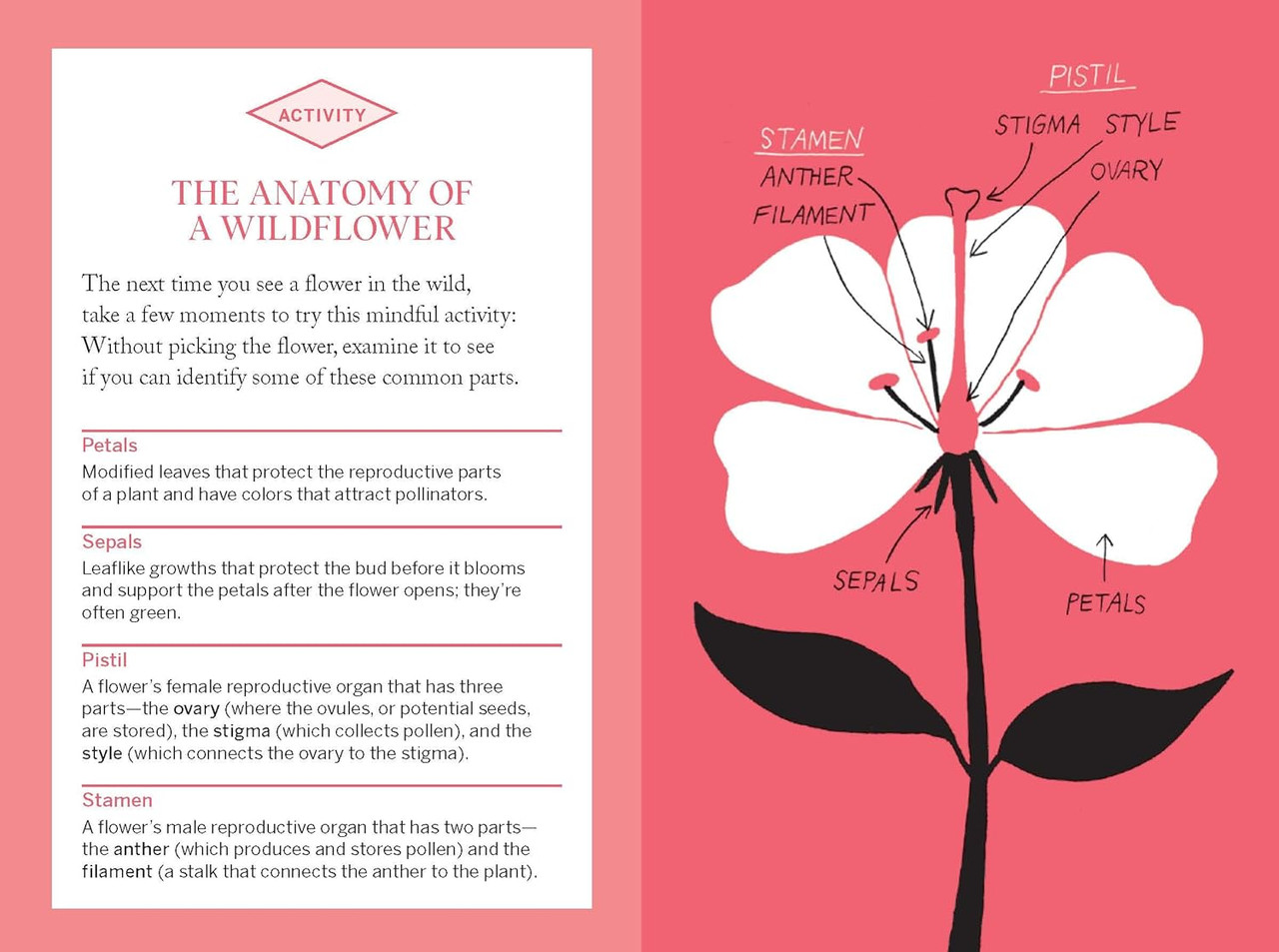 Pocket Nature Guide to Flower Finding