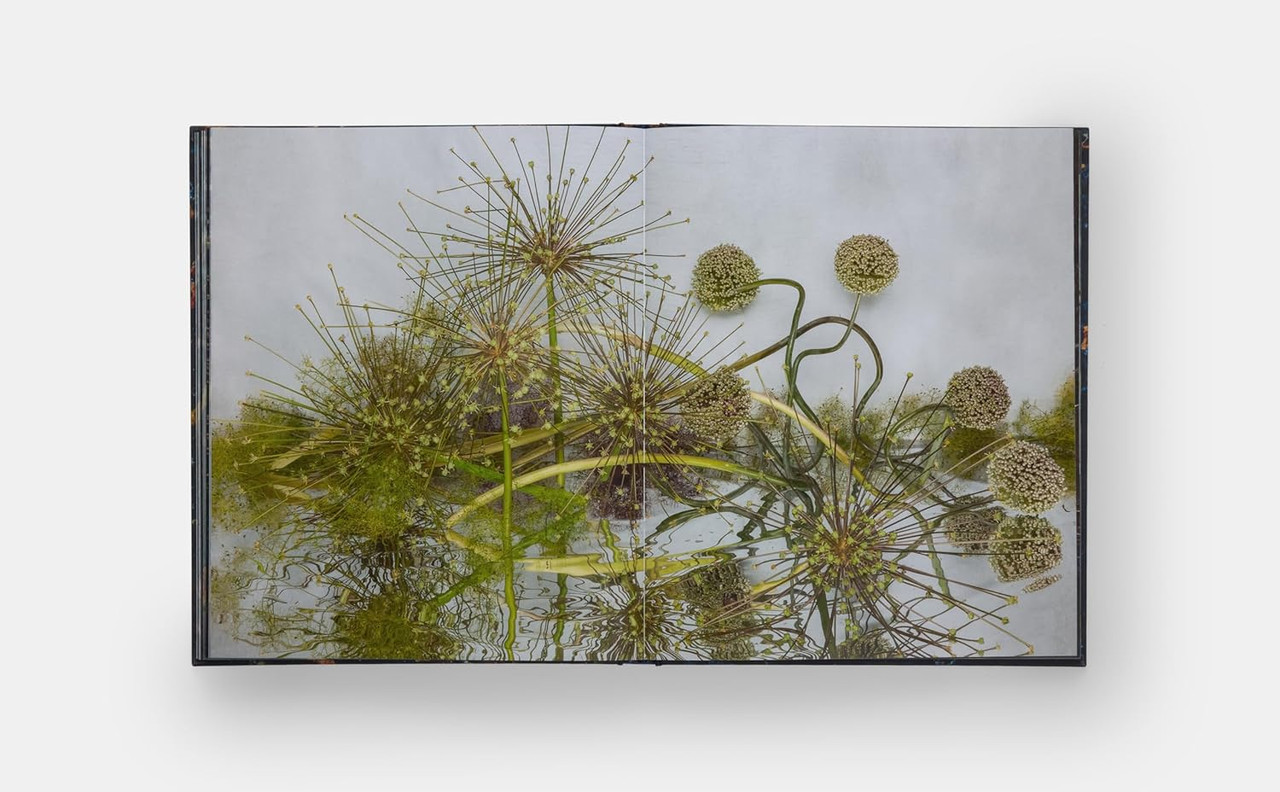 Emily Thompson: Flowers