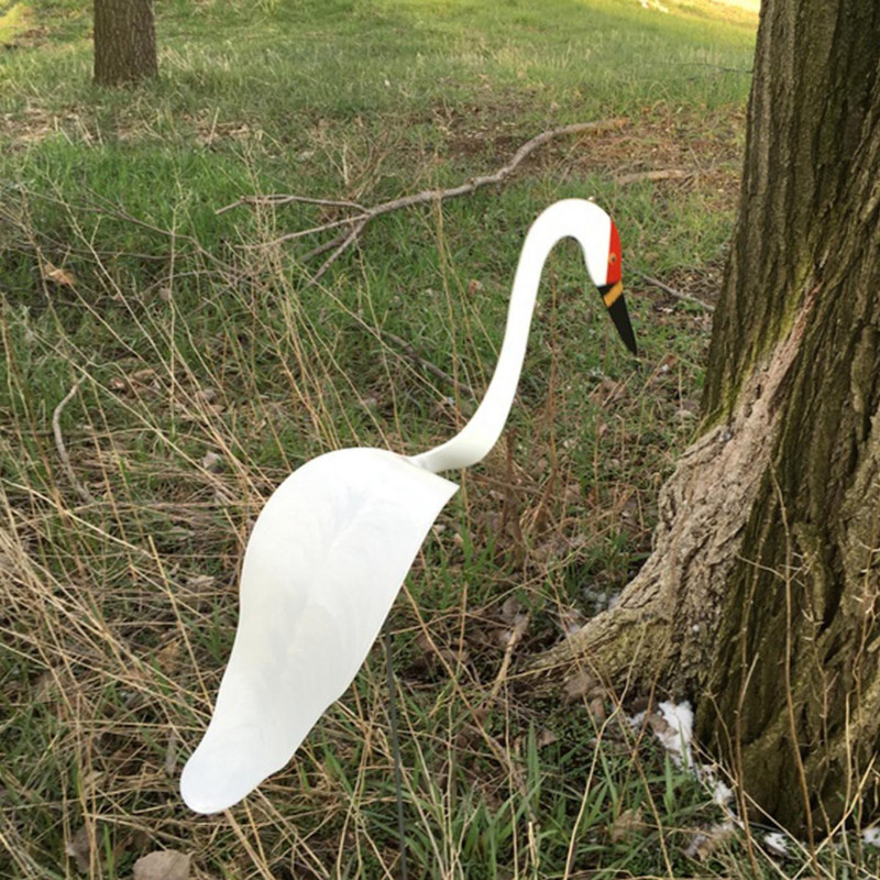 Dancing Bird Whooping Crane
