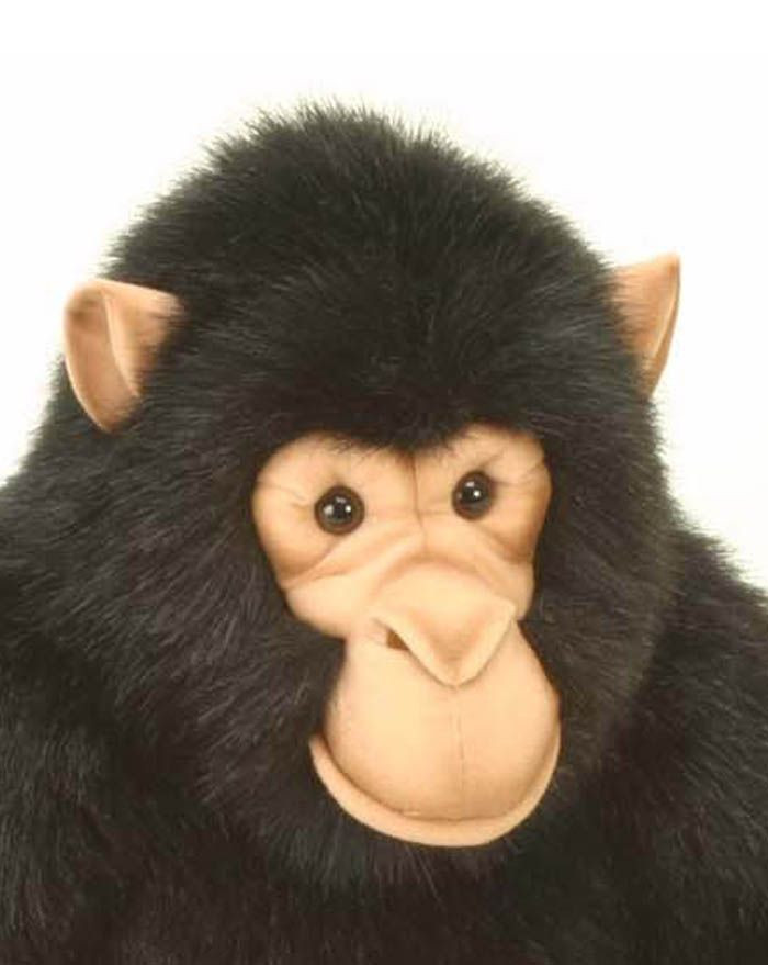 Hansa Chimp, Adult 18'' - Endeavour Toys