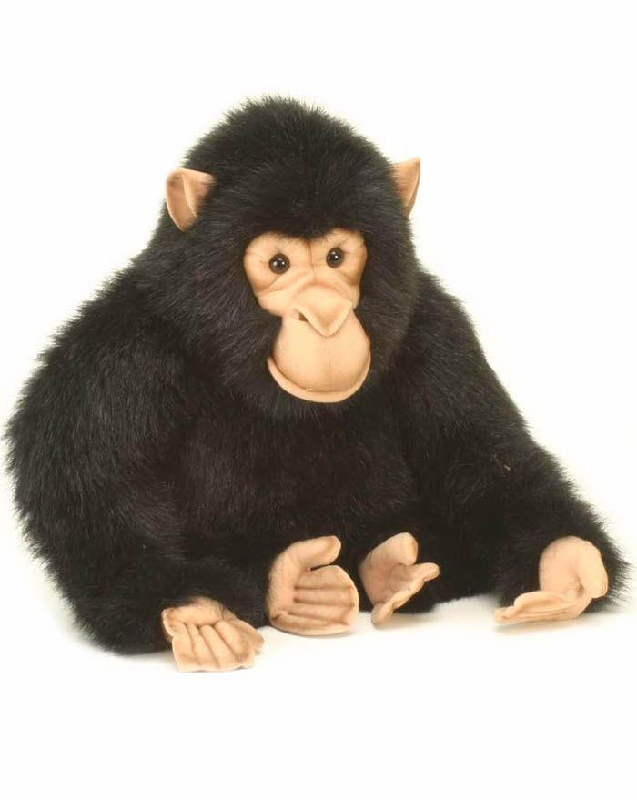 Hansa Chimp, Adult 18'' - Endeavour Toys