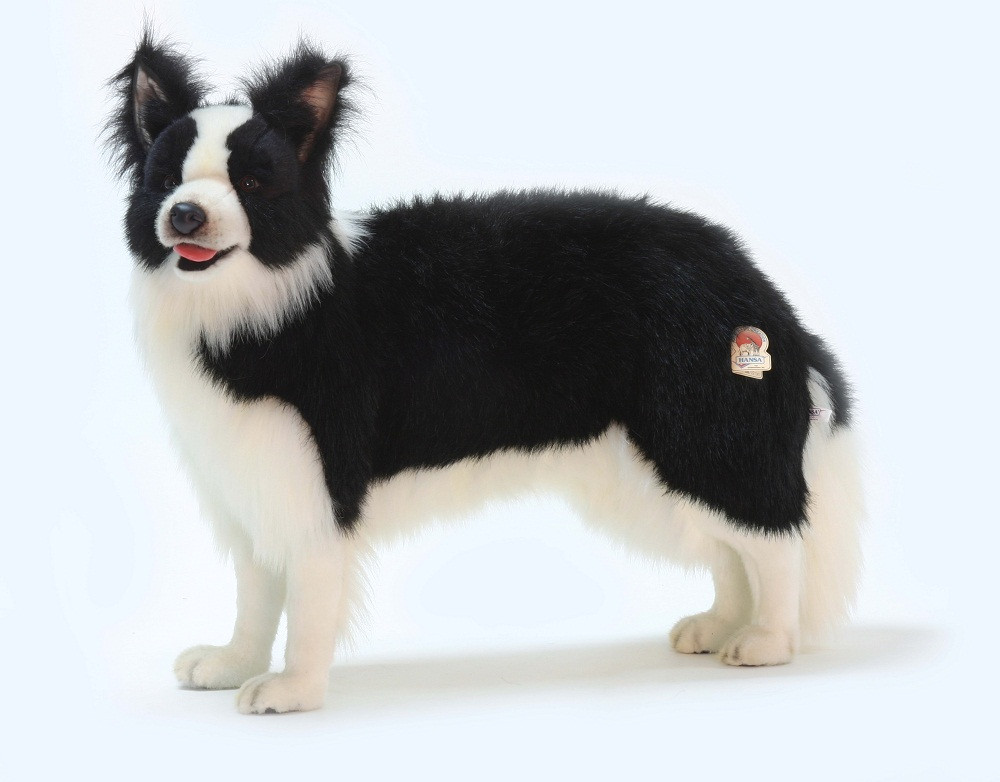 Hansa Border Collie, Standing 33''L - Endeavour Toys
