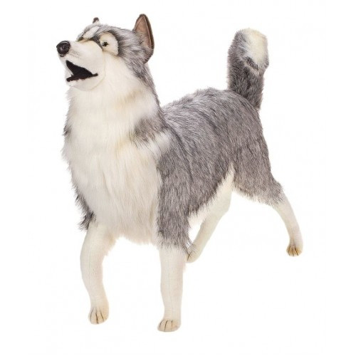 Hansa Husky Dog, Gray Life Size 46"L - Endeavour Toys