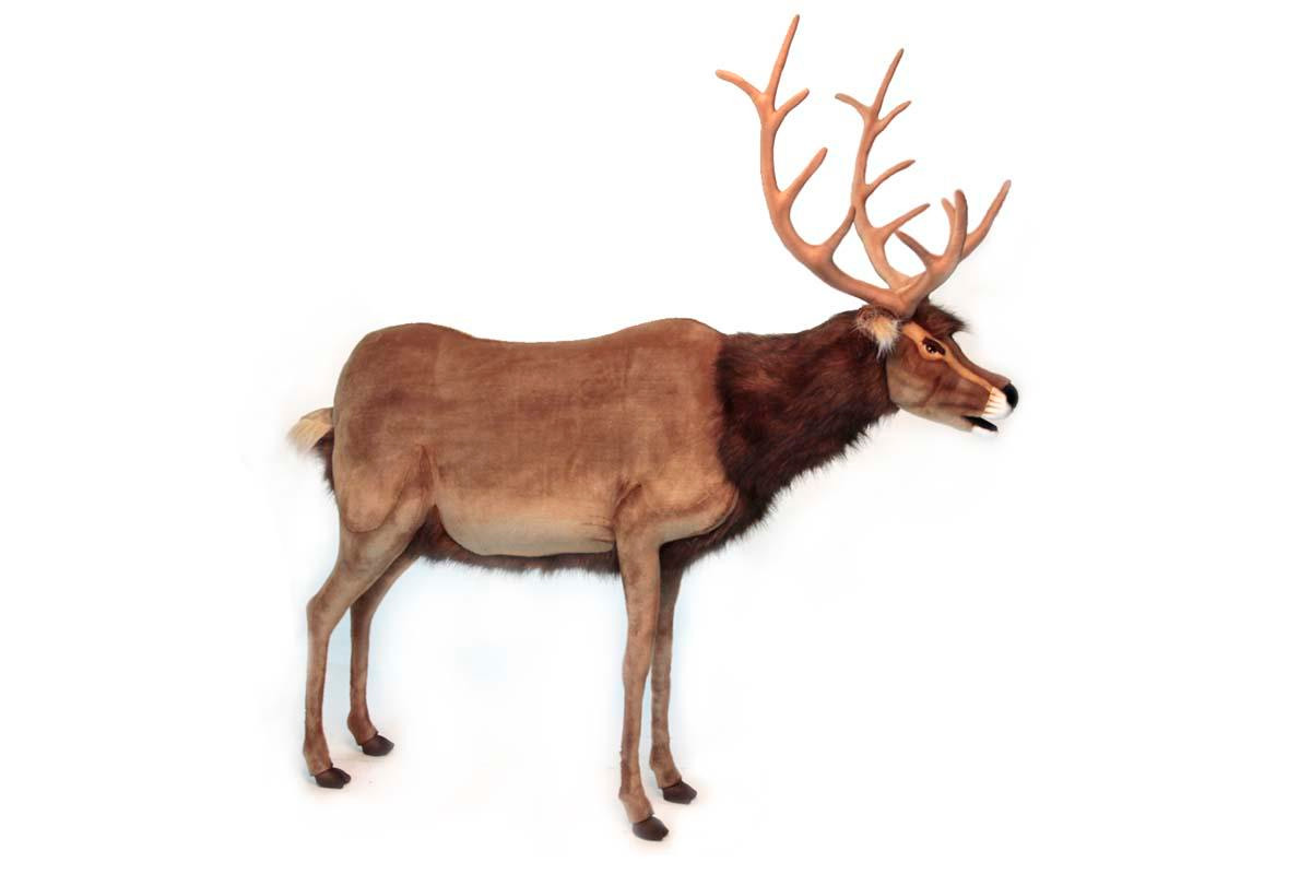 Hansa Deer, Male Open Mouth 60'' - Endeavour Toys