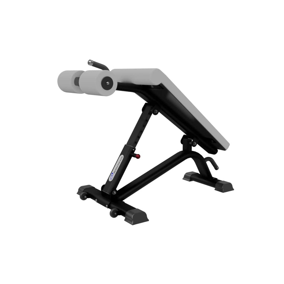 Nautilus Instinct Adjustable Abdominal Decline Bench