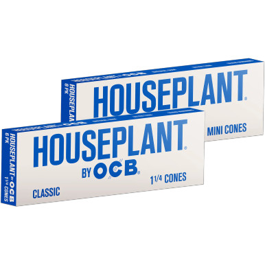 HOUSEPLANT BY OCB CLASSIC CONE - DISPLAY OF 32