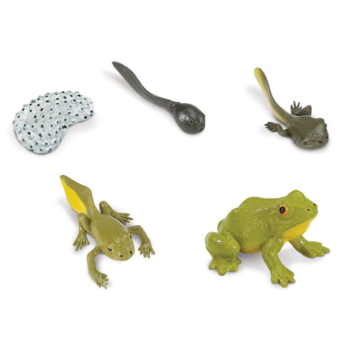Buy Safari Toys Online | Thinkamajigs