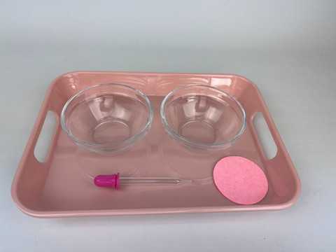 Transferring with Dropper-Melamine Tray