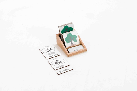 Three Part Cards - Tree