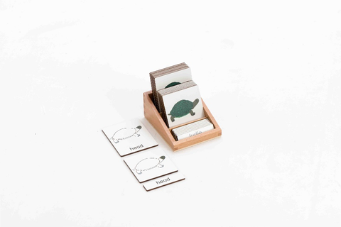 Three Part Cards - Turtle