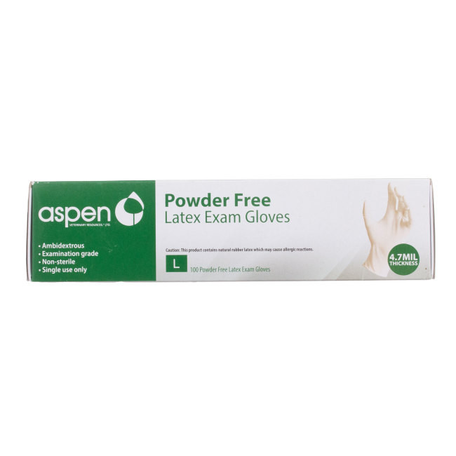 Latex Gloves - Creative Science LLC