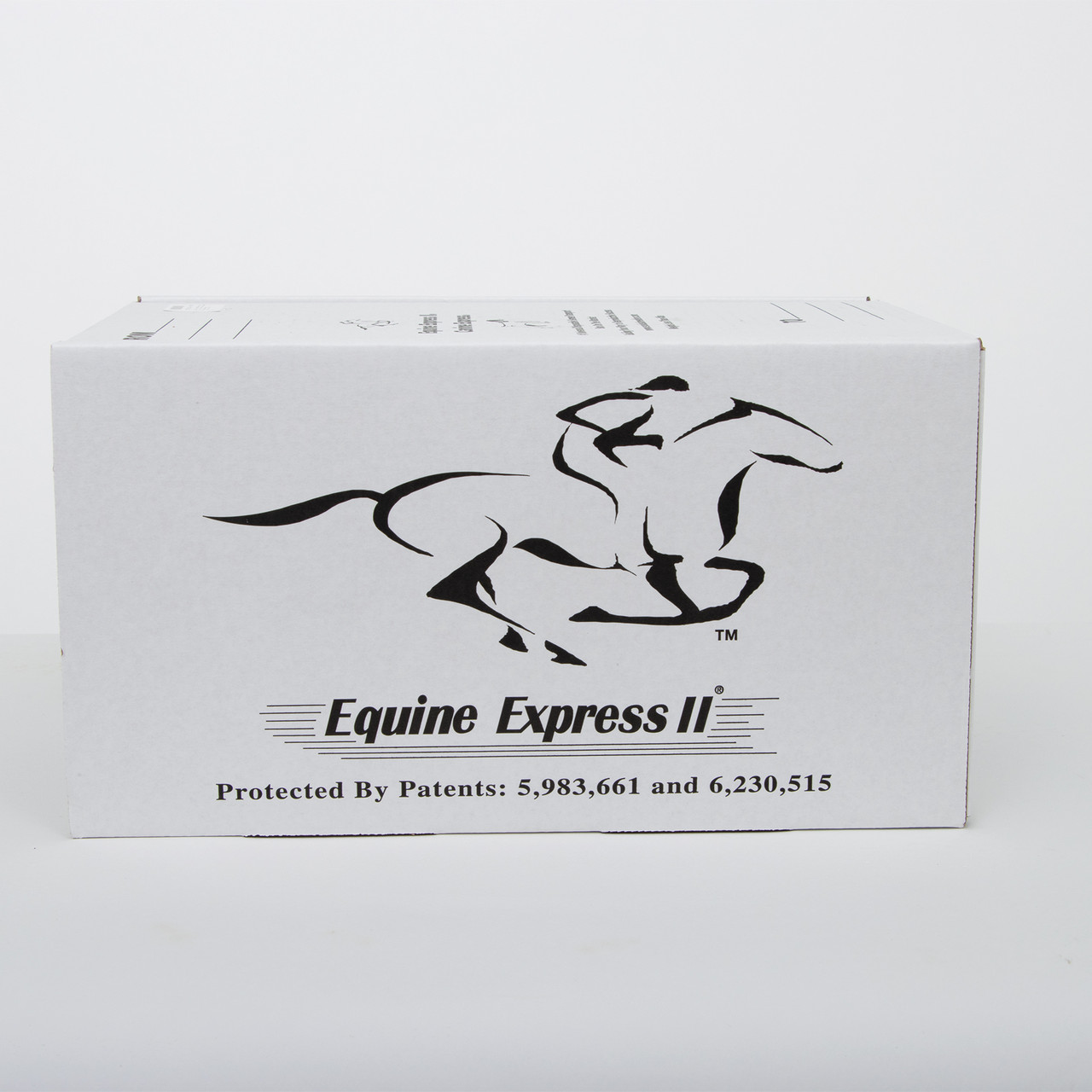 Effective Solutions for Dog Ear Yeast Infections: Looking Beyond ...