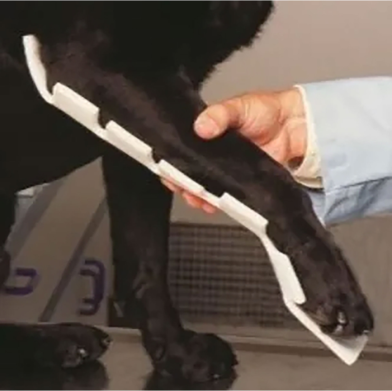 Padded Pet Splint