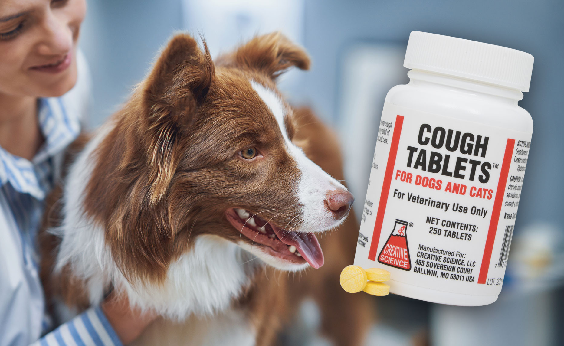Optimizing Cough Management in Dogs and Cats - Creative Science