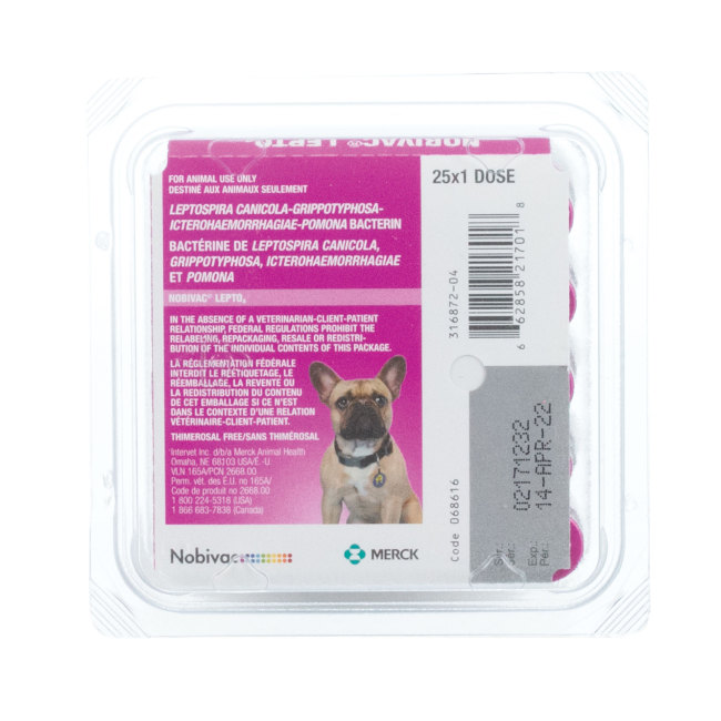 Nobivac Canine Lepto 4 | Revival Animal Health | Buy Now